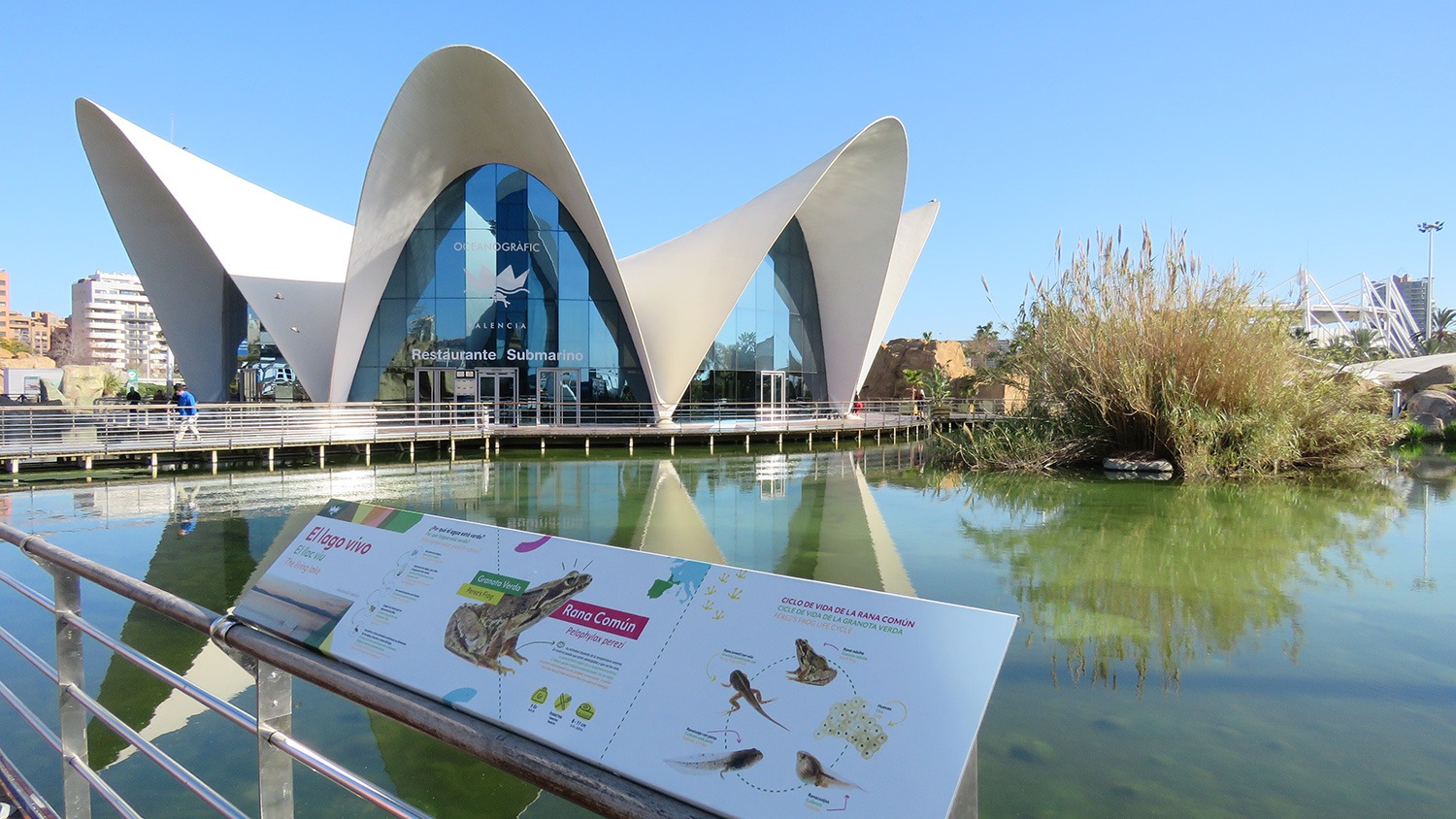 Oceanografic Valencia