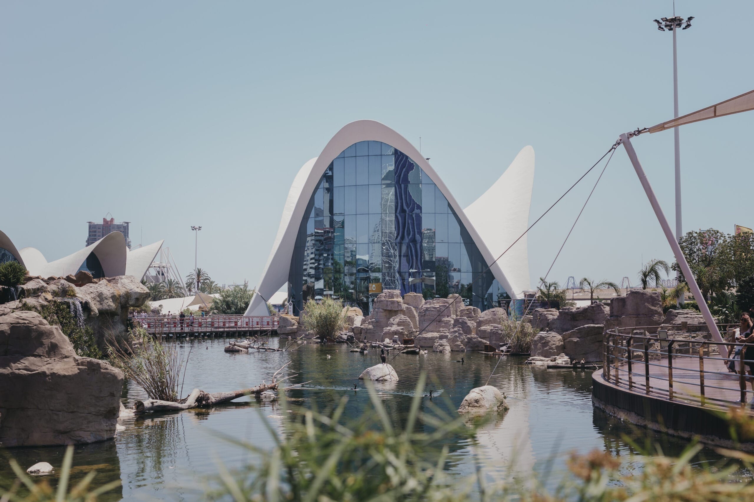 Entradas, Precios y Horarios | Oceanogràfic València