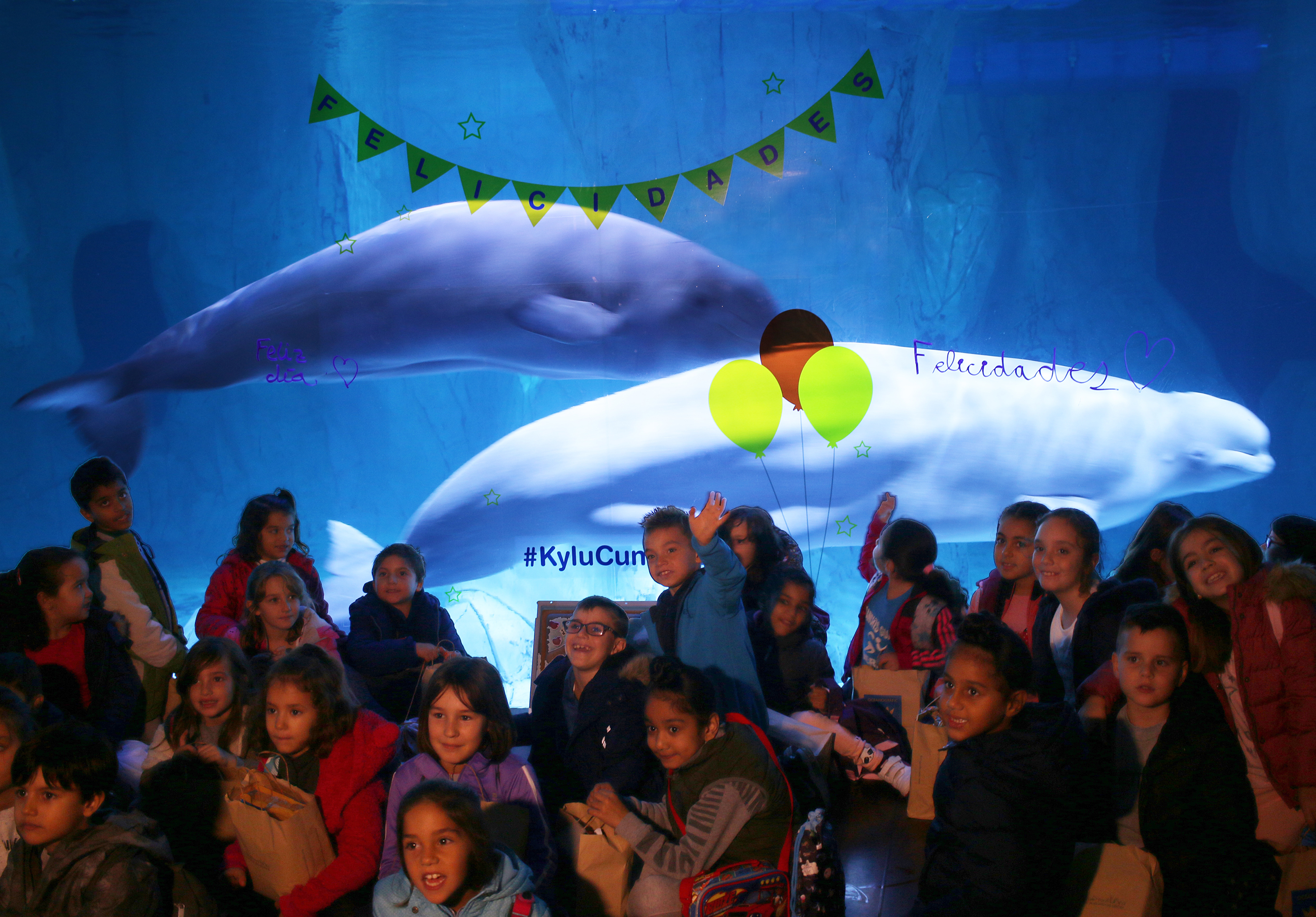 La fiesta de cumpleaños de Kylu - Oceanogràfic de València