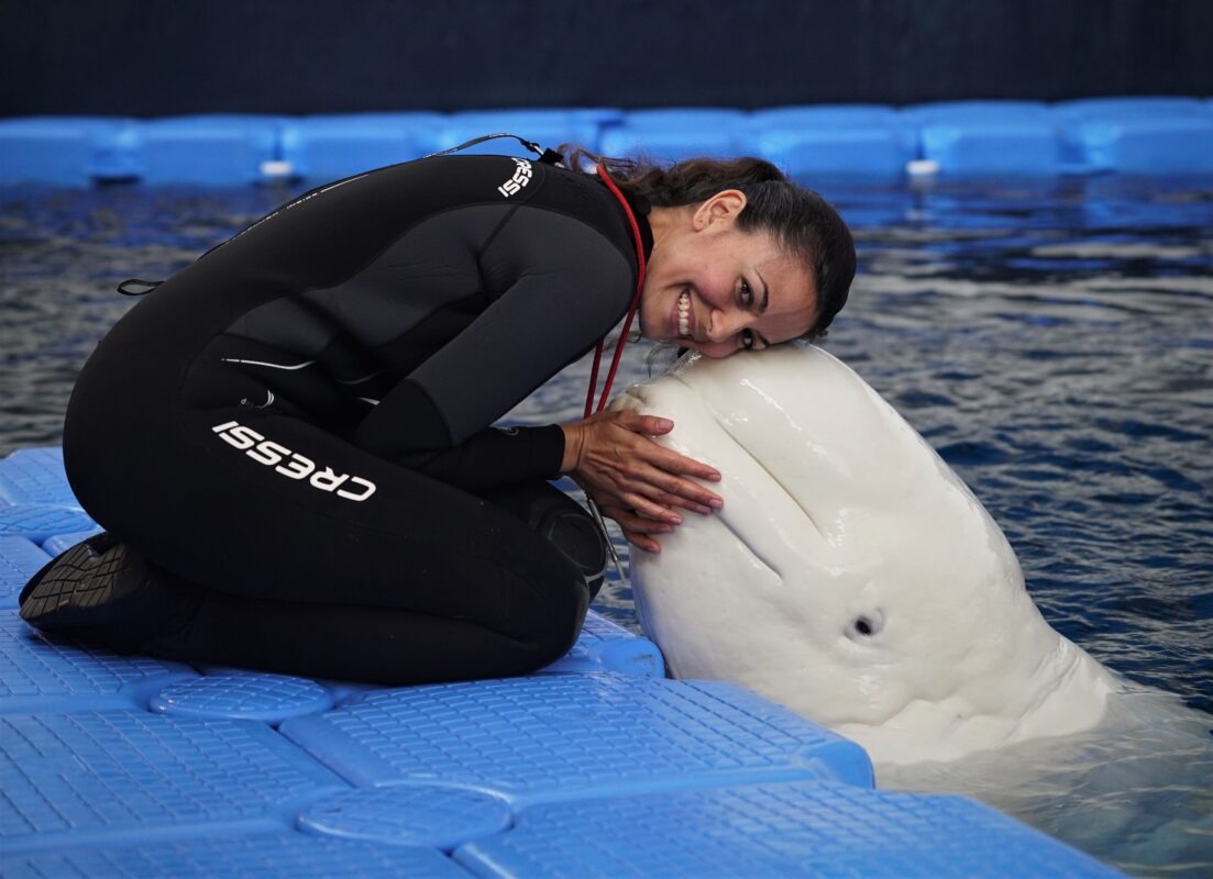 Las madres beluga enseñan a sus hijos un ‘nombre de familia ...