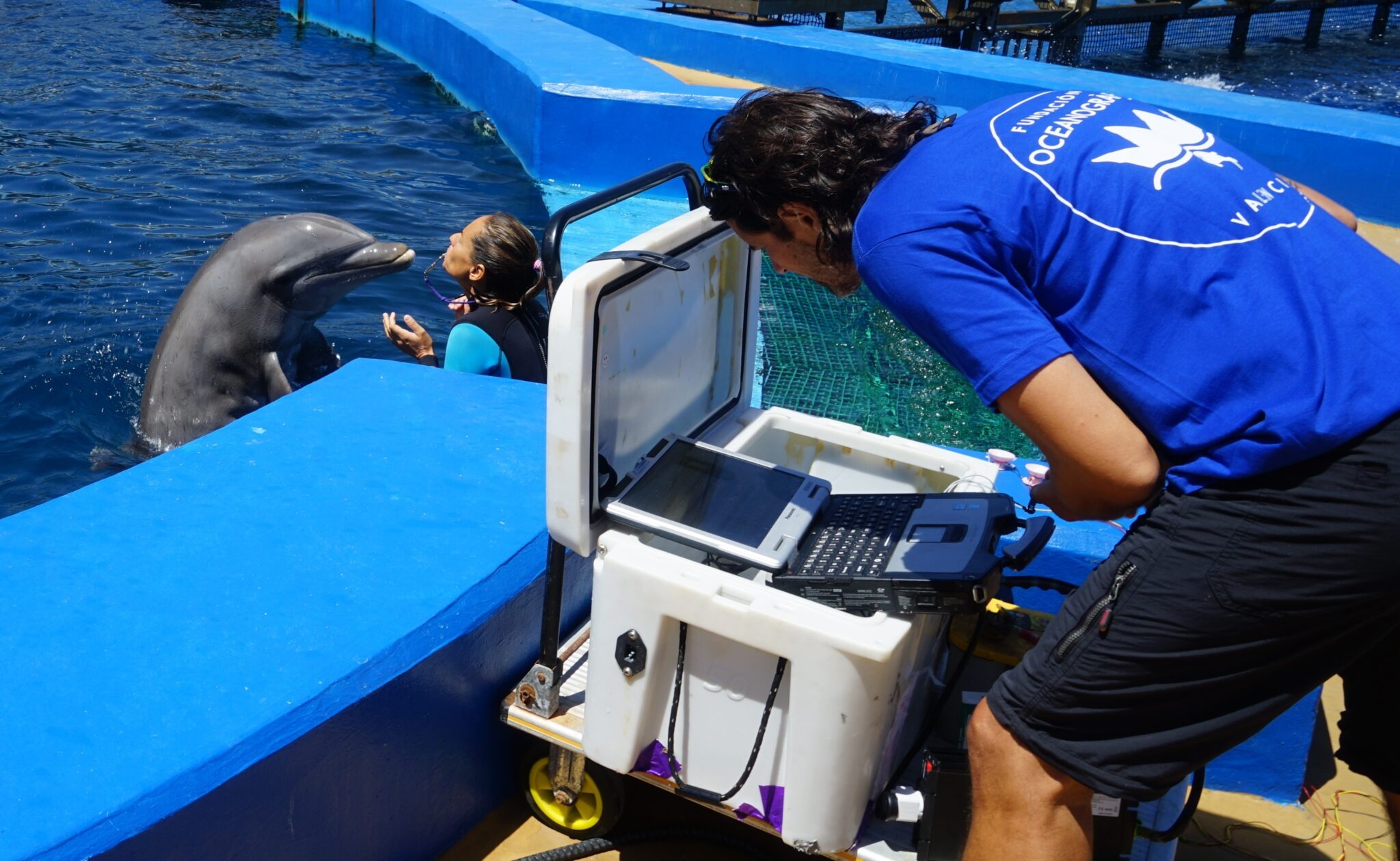 El Oceanogràfic podrá diagnosticar in situ los animales varados ...