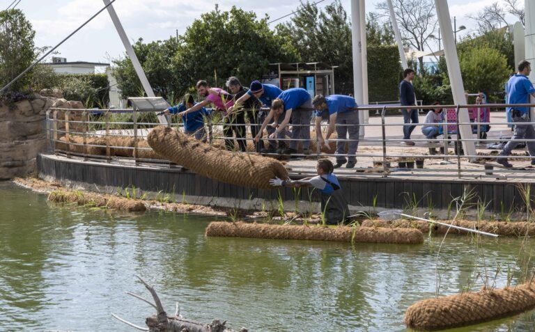 El Oceanogràfic garantiza los niveles de cuidado y bienestar de sus ...