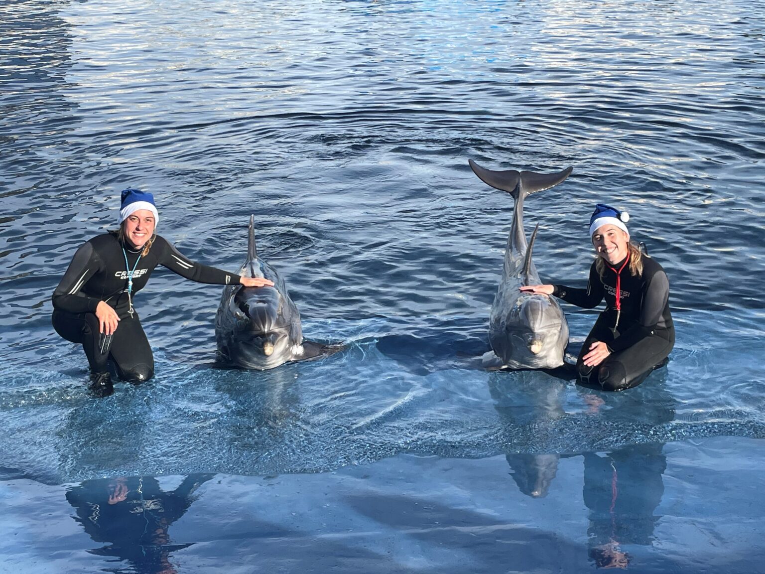 El Oceanogràfic de València supera 1,6 millones de visitantes en 2022 e ...