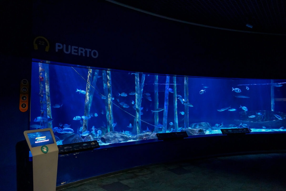 Mediterranean Exhibit - Oceanogràfic de València