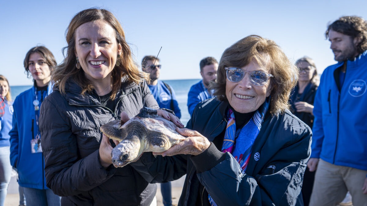 La exploradora marina Sylvia Earle suelta al mar en Valencia a la ...