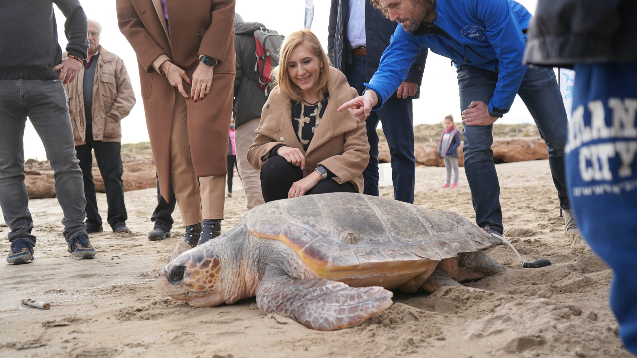 Una tortuga de 80 kilos vuelve al mar en la Serra d’Irta - Oceanogràfic ...