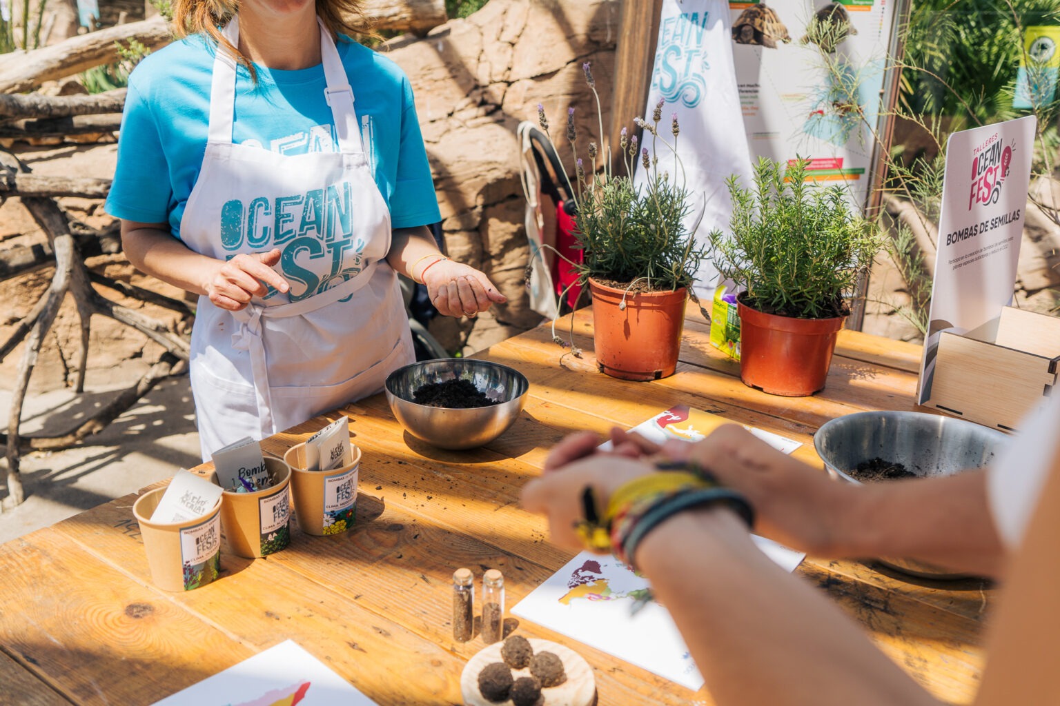 Arranca el ‘OceanFest 2024’ del Oceanogràfic con talleres y actividades ...