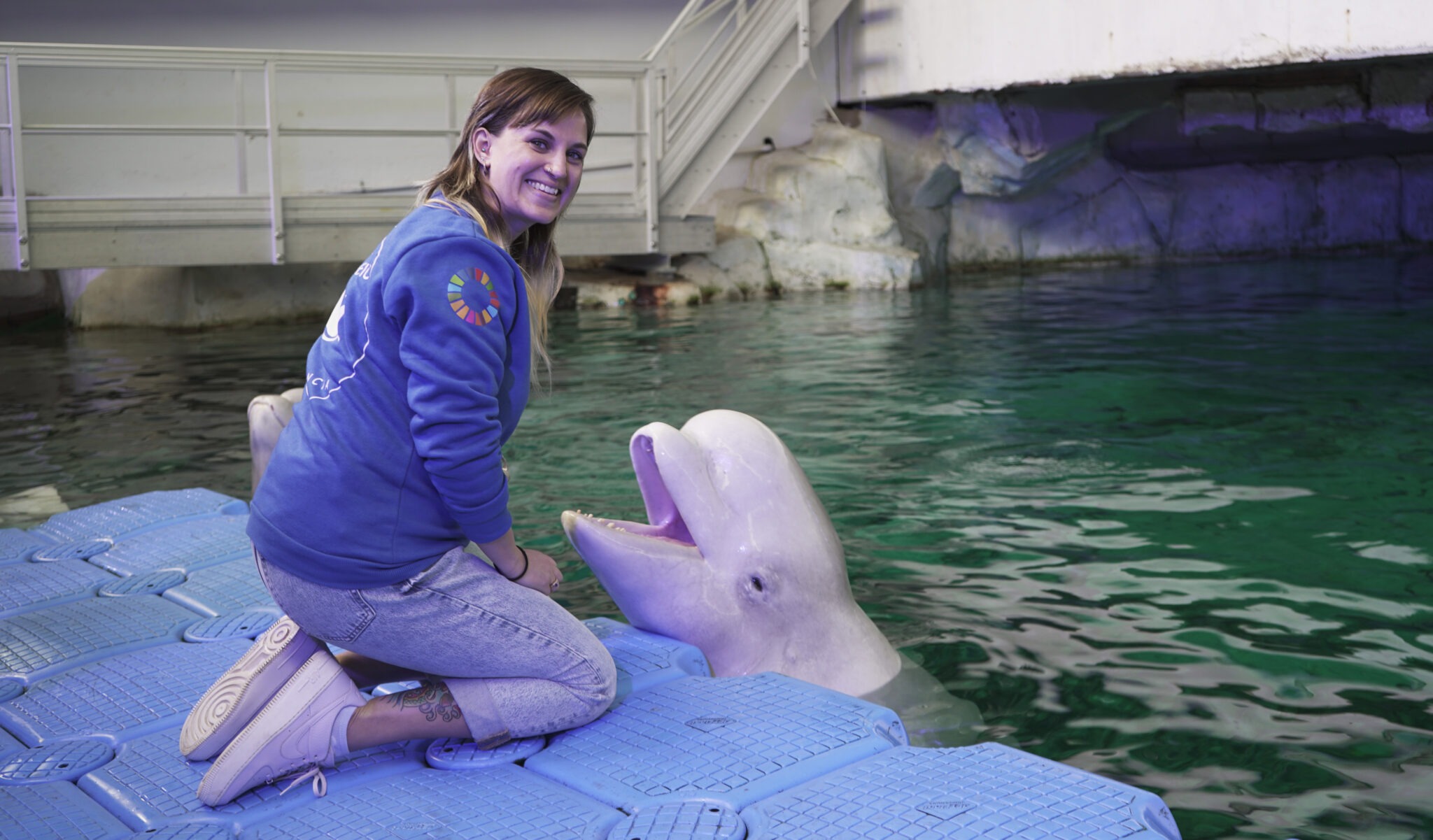 La Fundación Oceanogràfic cierra un año de avances científicos ...