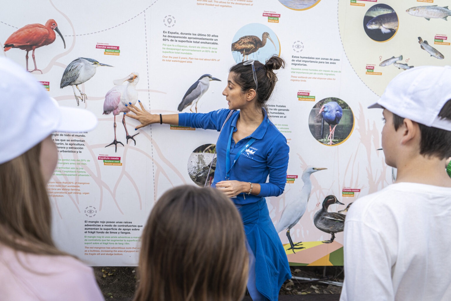 El Oceanogràfic coordina la Red Europea de Escuelas Azules en la ...